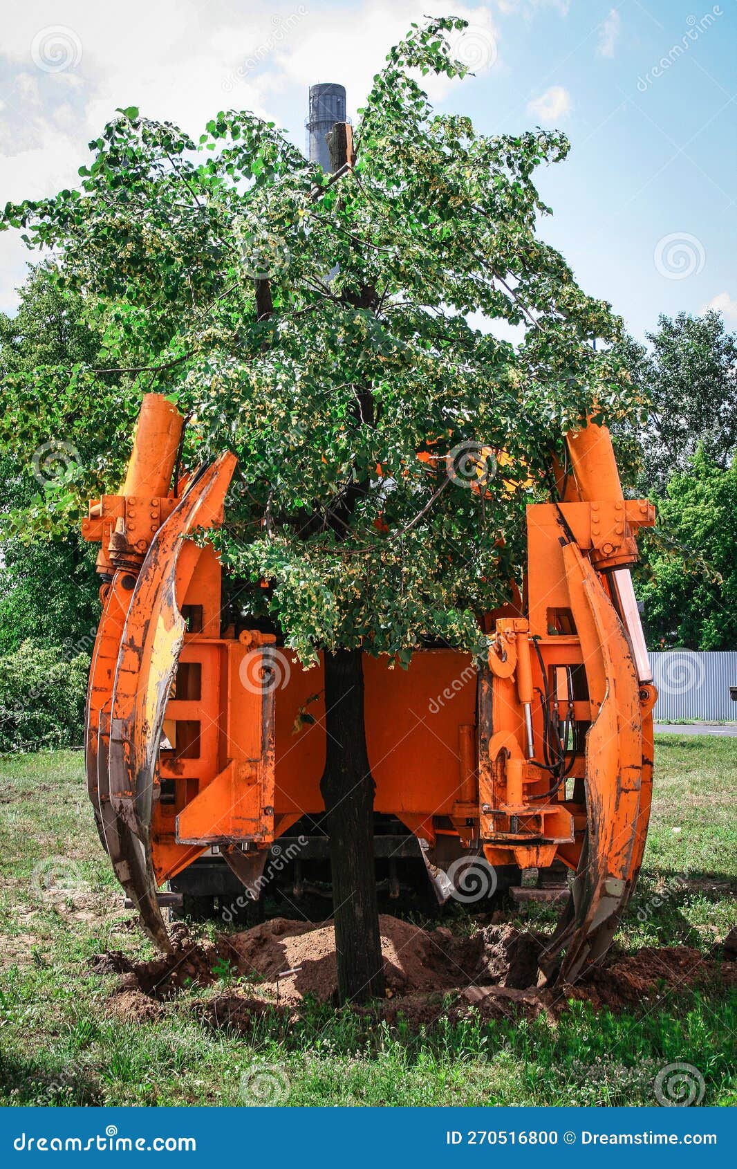 Tree spade planting tree stock photo. Image of equipment - 270516800