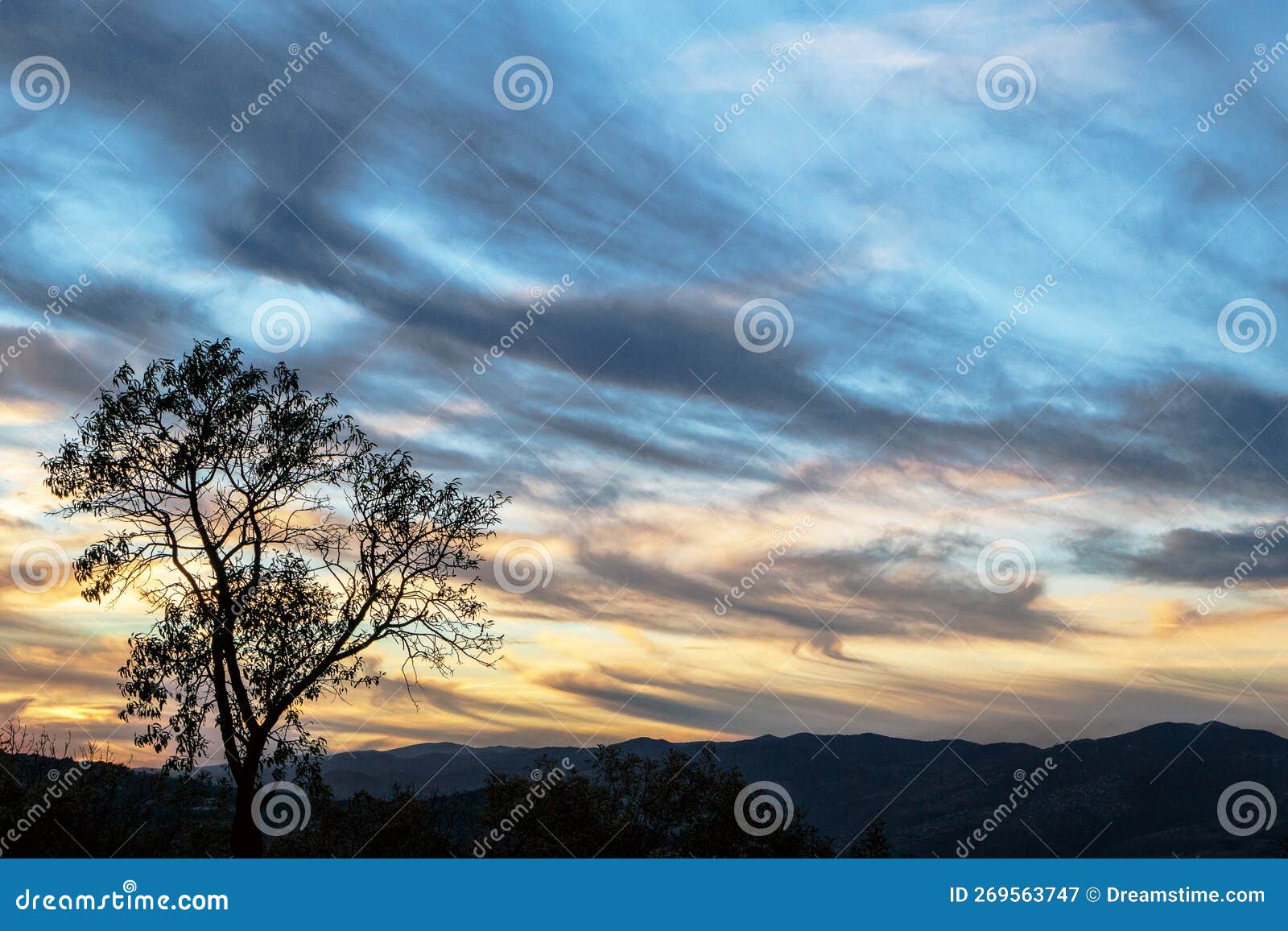 Tree at Spectacular Sunset in a Mountains. Horizon Panorama with a ...