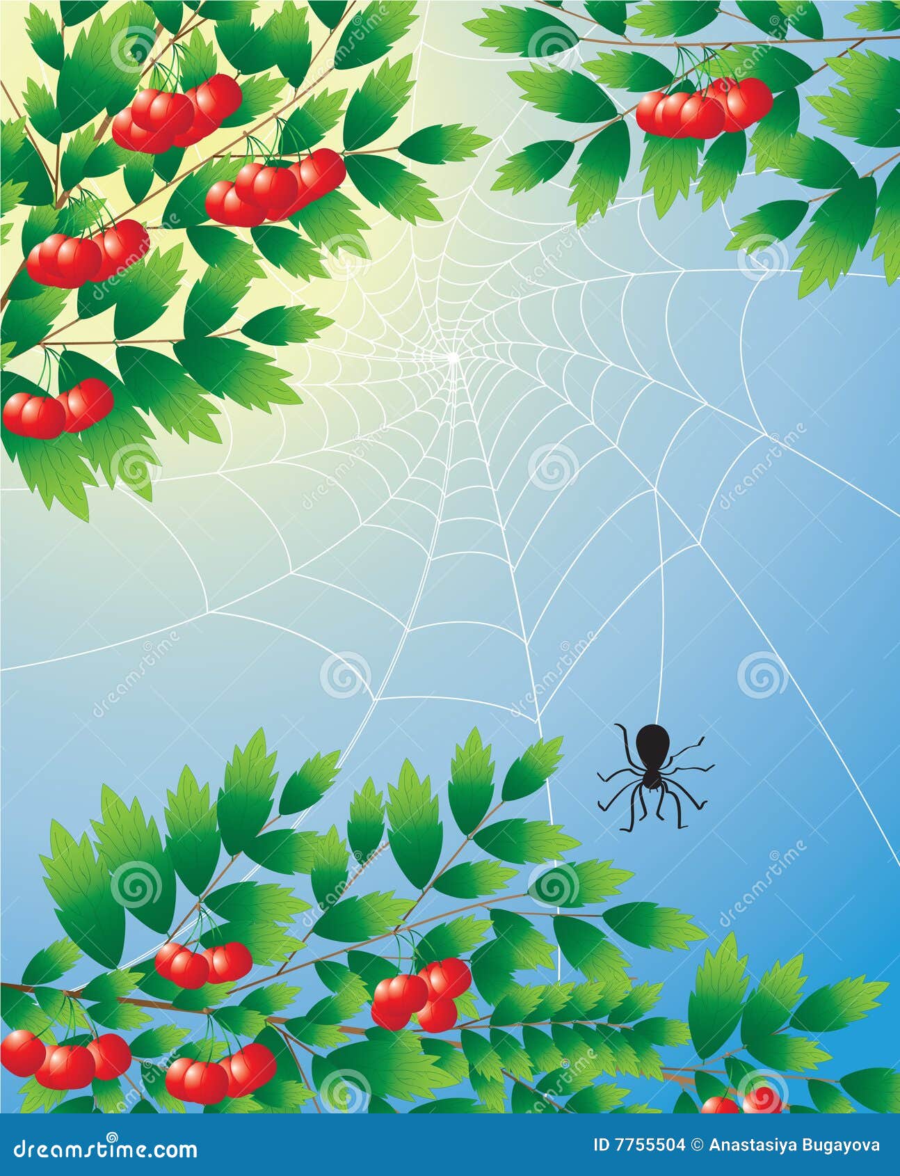 Tree with spider stock vector. Illustration of cartouche - 7755504