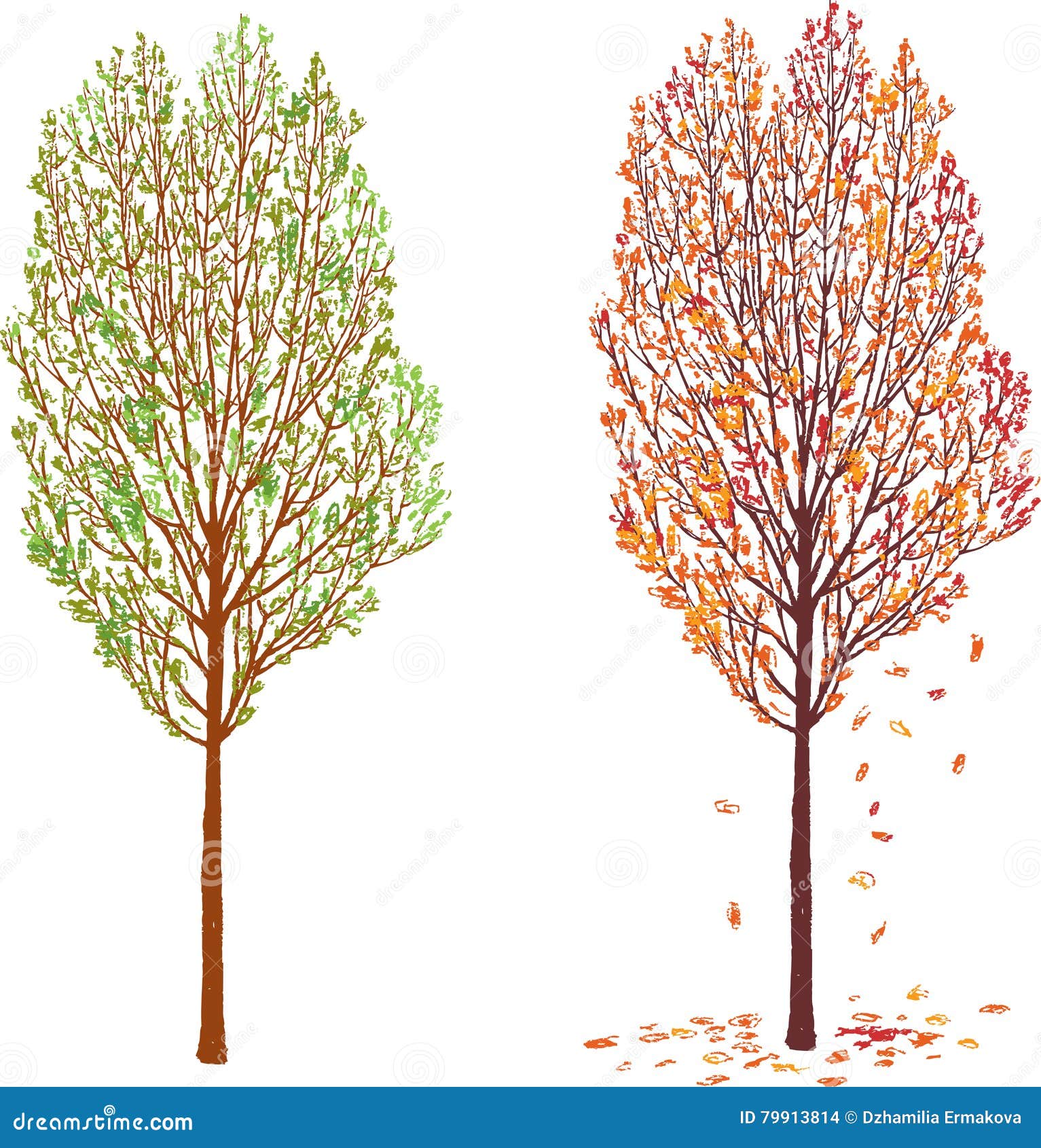 Tree in the Spring and in the Fall Stock Vector - Illustration of ...