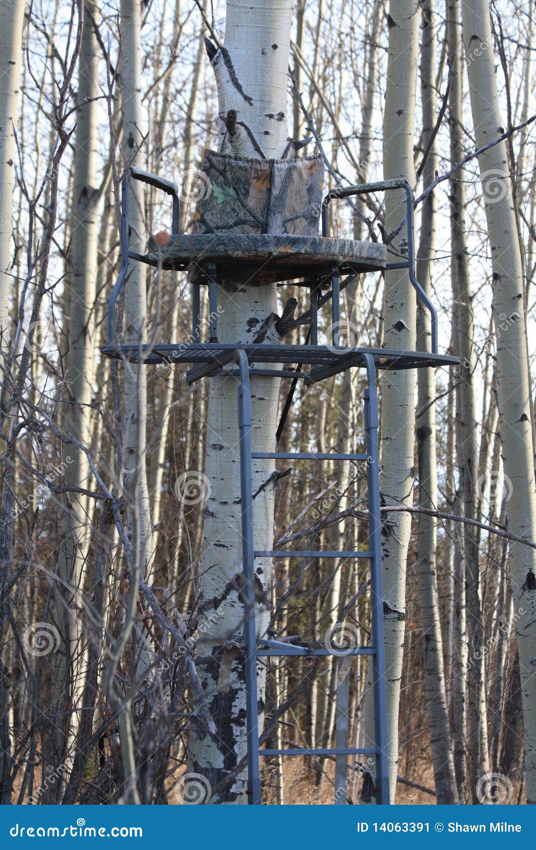 Sniper Striker Tree Stand
