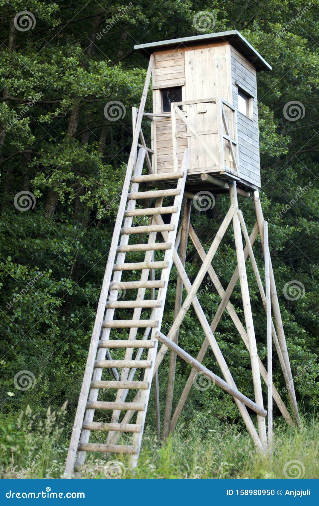 Tree Stand, Deer Stand for Hunters in Forest Stock Photo - Image of ...