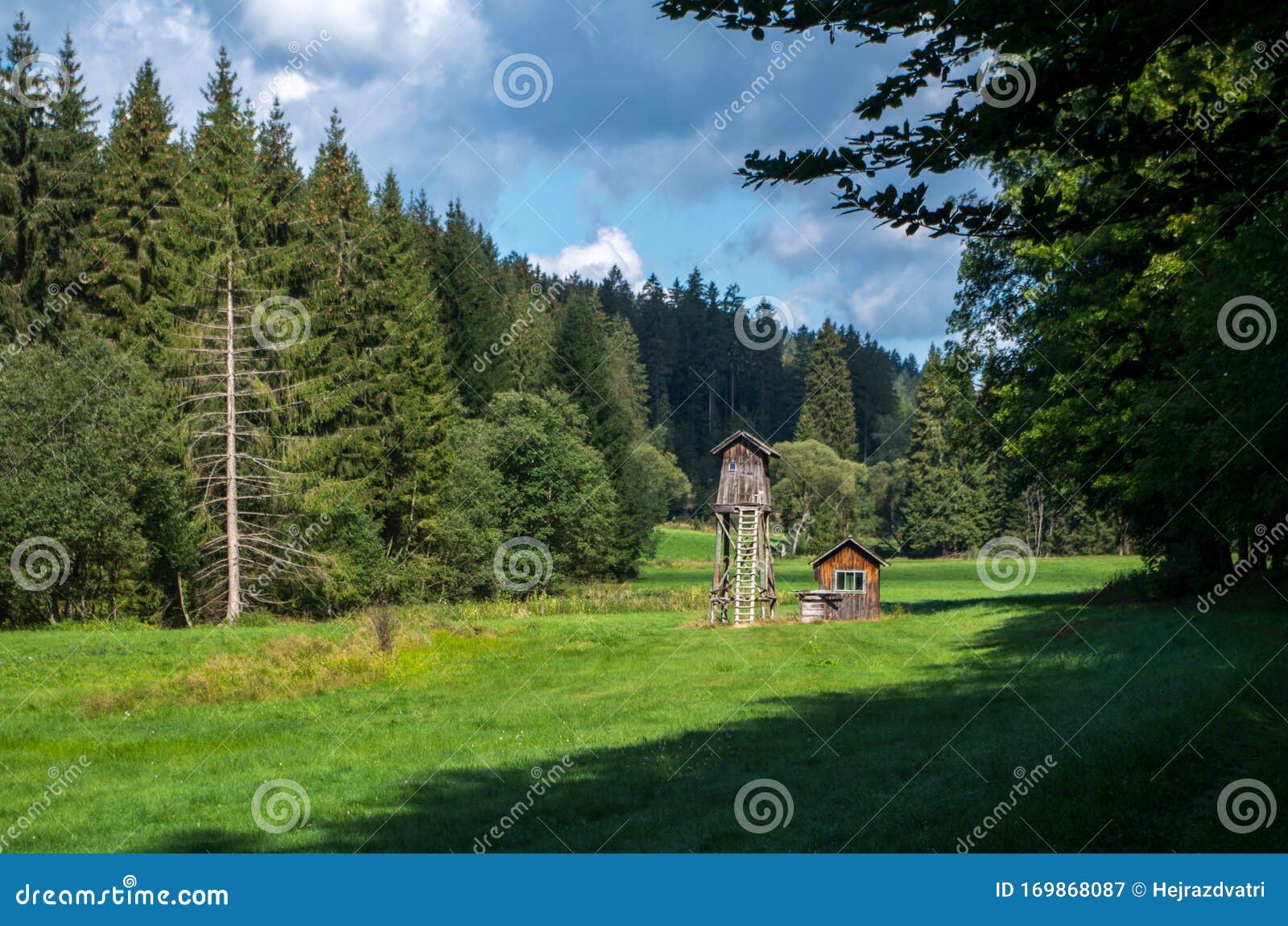 Tree stand or deer stand stock image. Image of huntsmen - 169868087