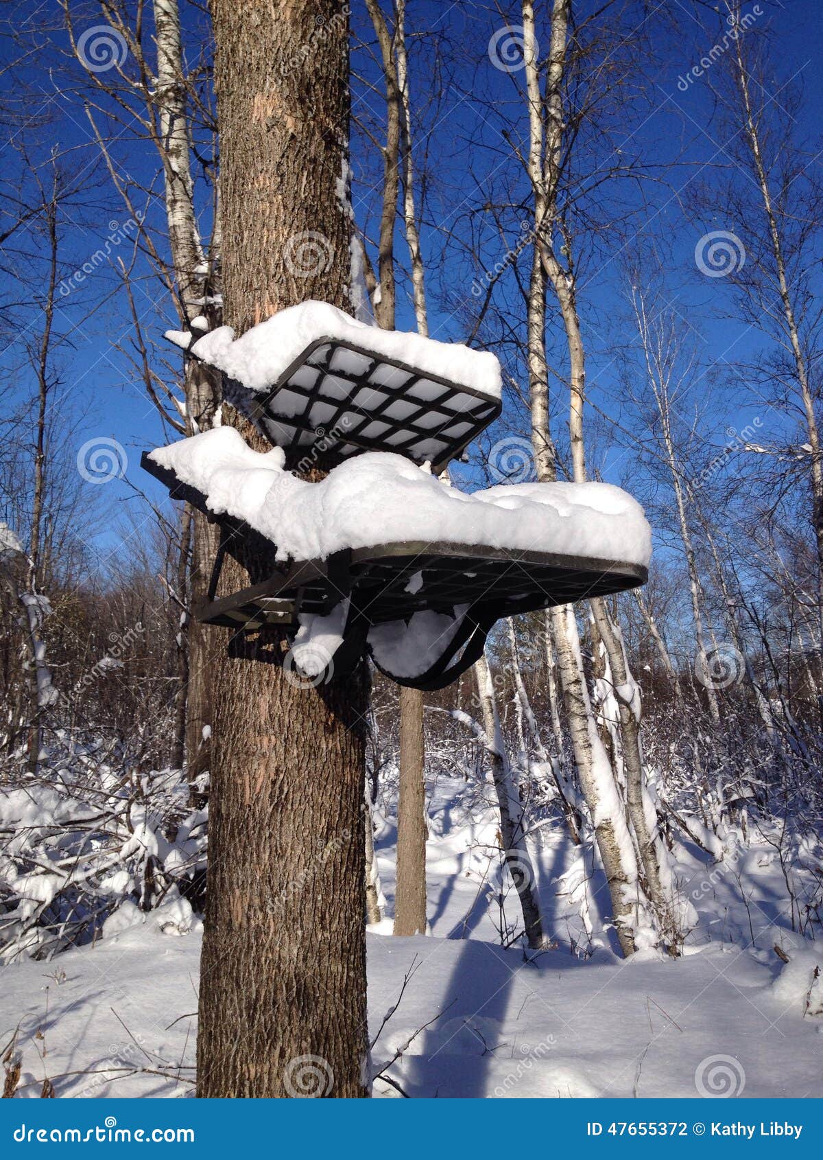 Tree stand with snow stock photo. Image of sport, woods - 47655372