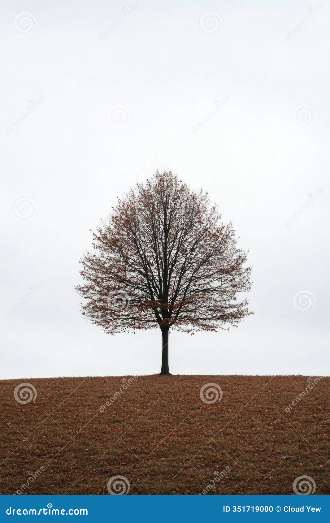 A Tree is Standing Alone in a Field Stock Illustration - Illustration ...