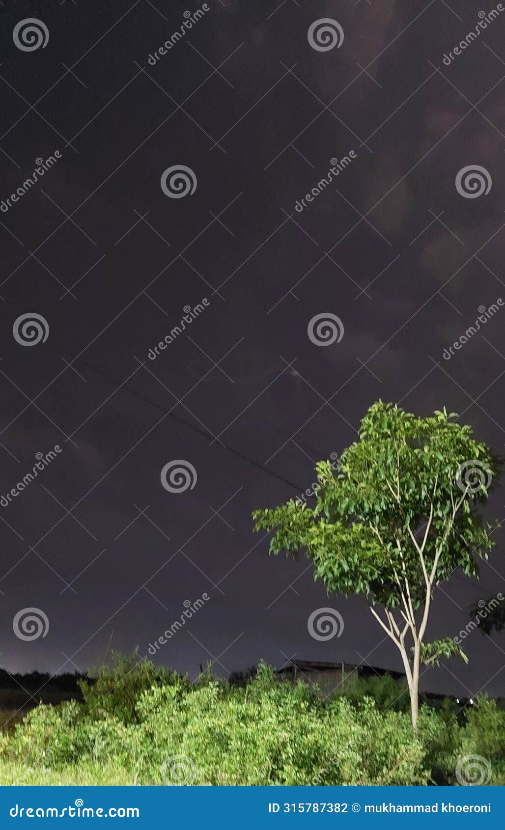 The Tree Standing Alone in the Silent Night Stock Photo - Image of ...