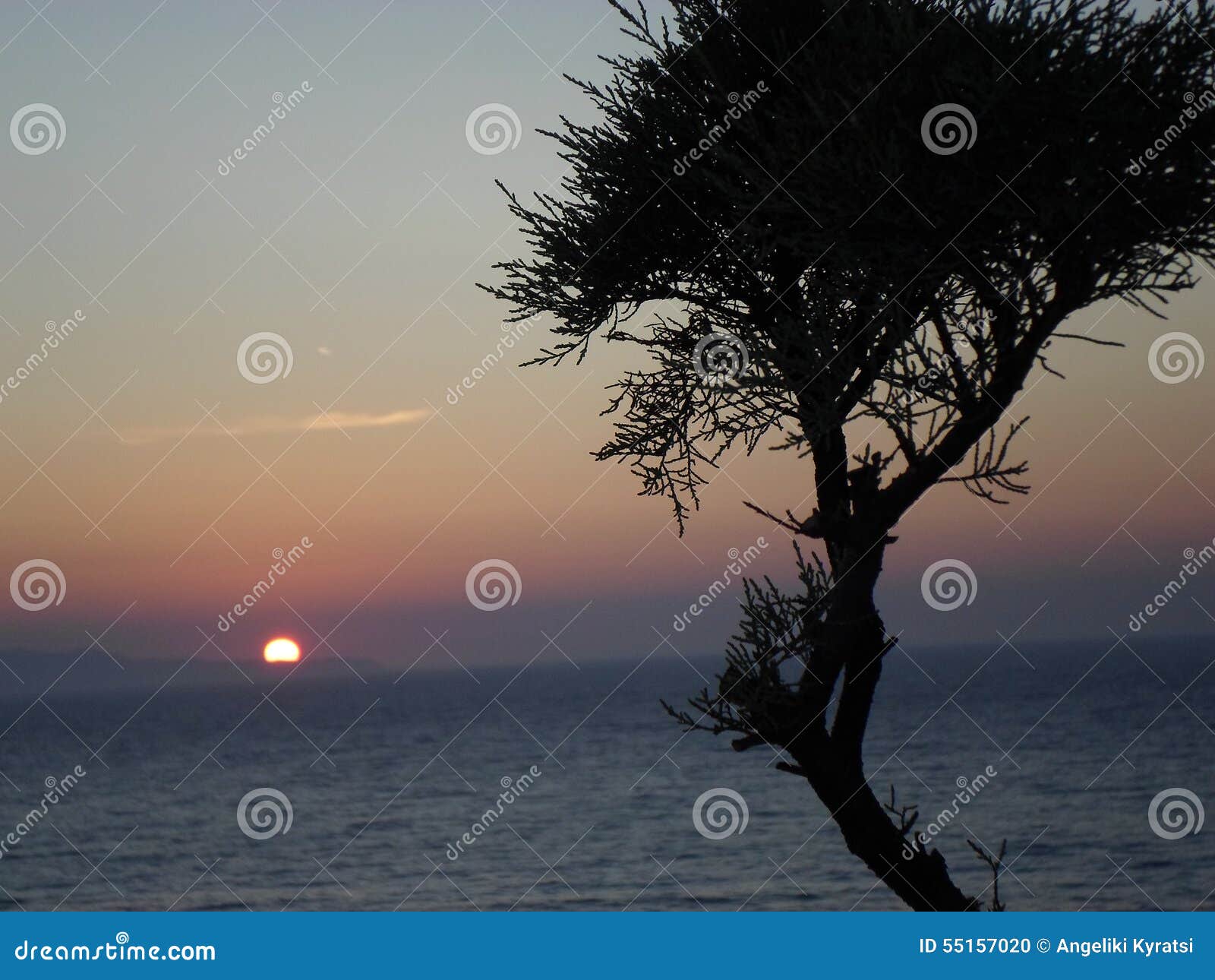 A Tree Standing Opposite the Sunset Stock Photo - Image of george ...