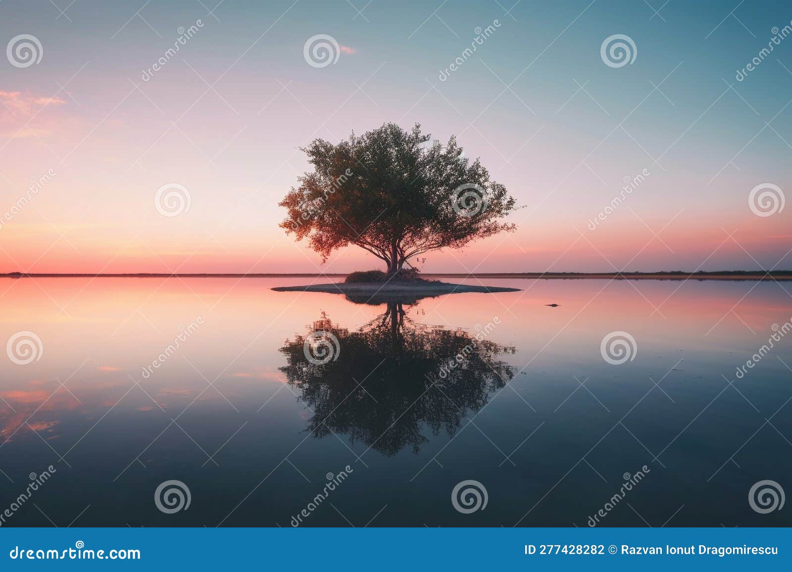 Tree Standing in the Water during a Breathtaking Sunset, with Its ...