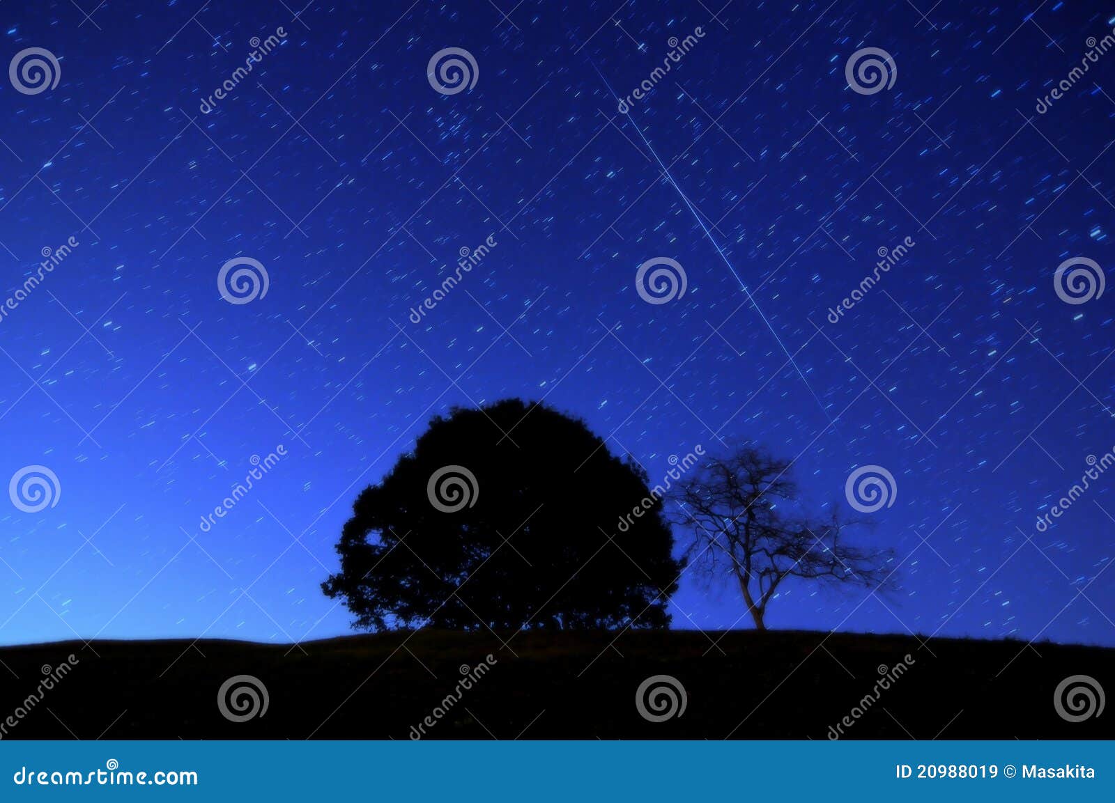 Tree&star stock image. Image of japan, night, soft - 20988019