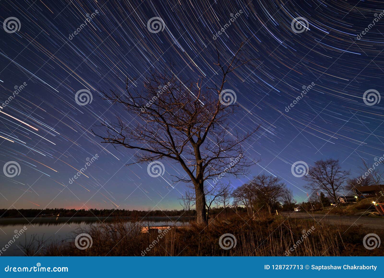 A tree and star trails stock image. Image of passing - 128727713