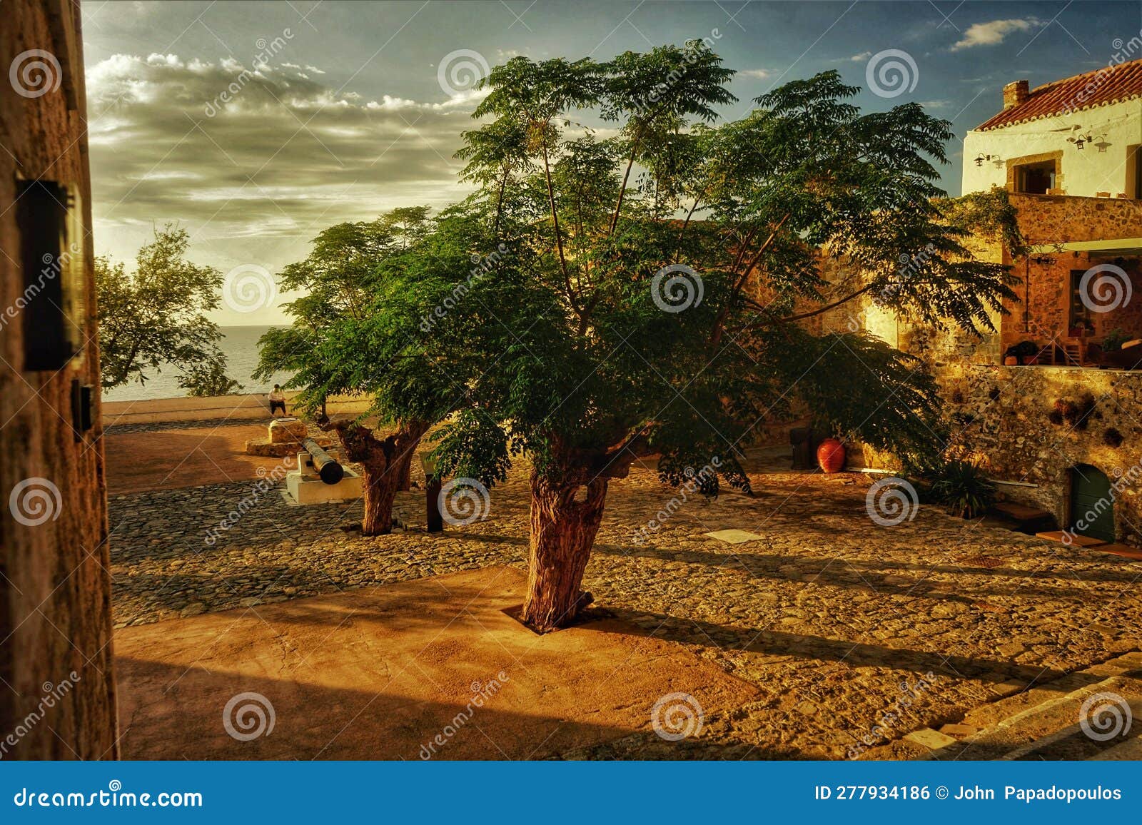 The tree ... stock photo. Image of tree, monevasia, staring - 277934186