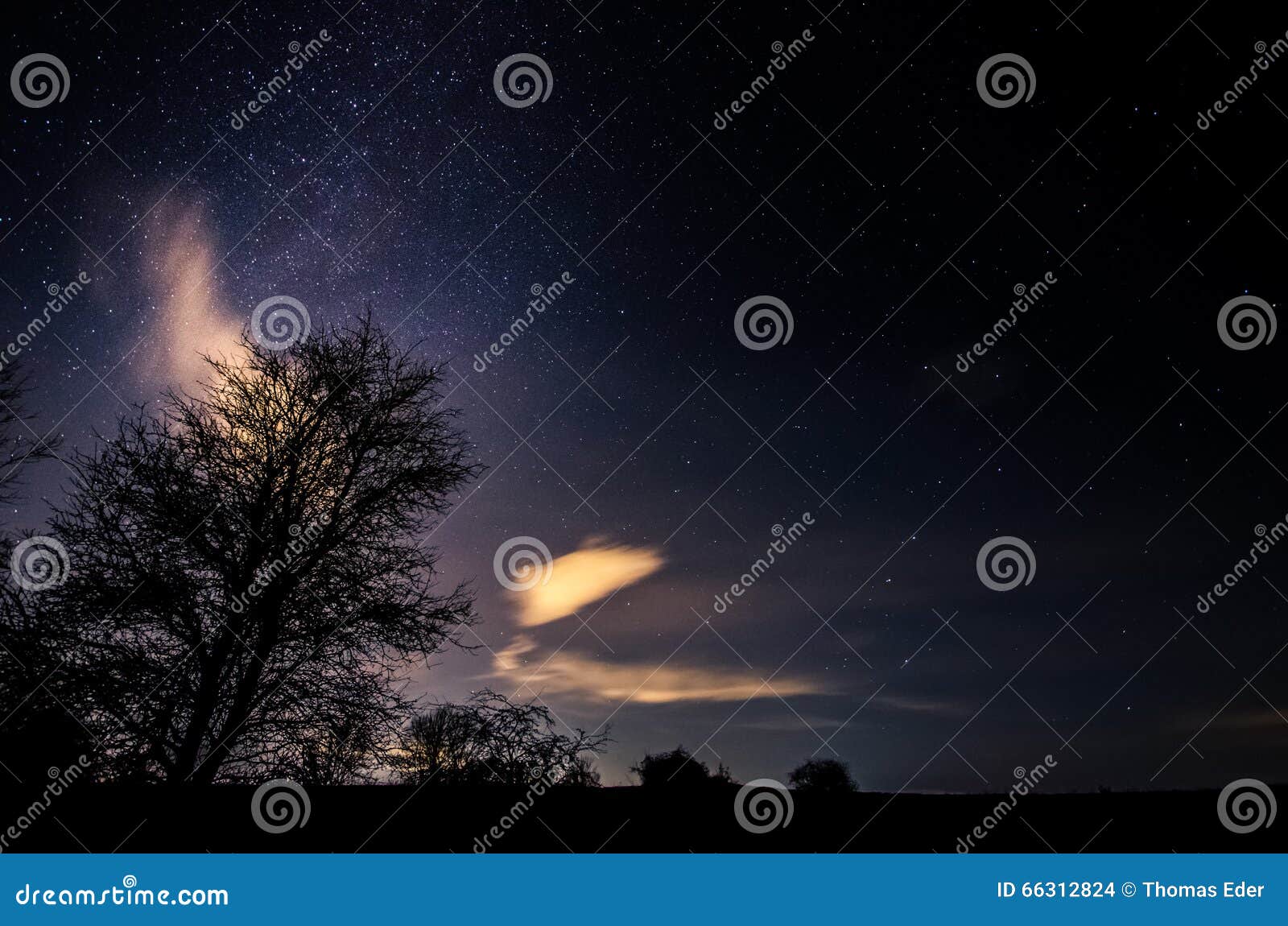 Tree and starry sky stock photo. Image of orbit, fantasy - 66312824