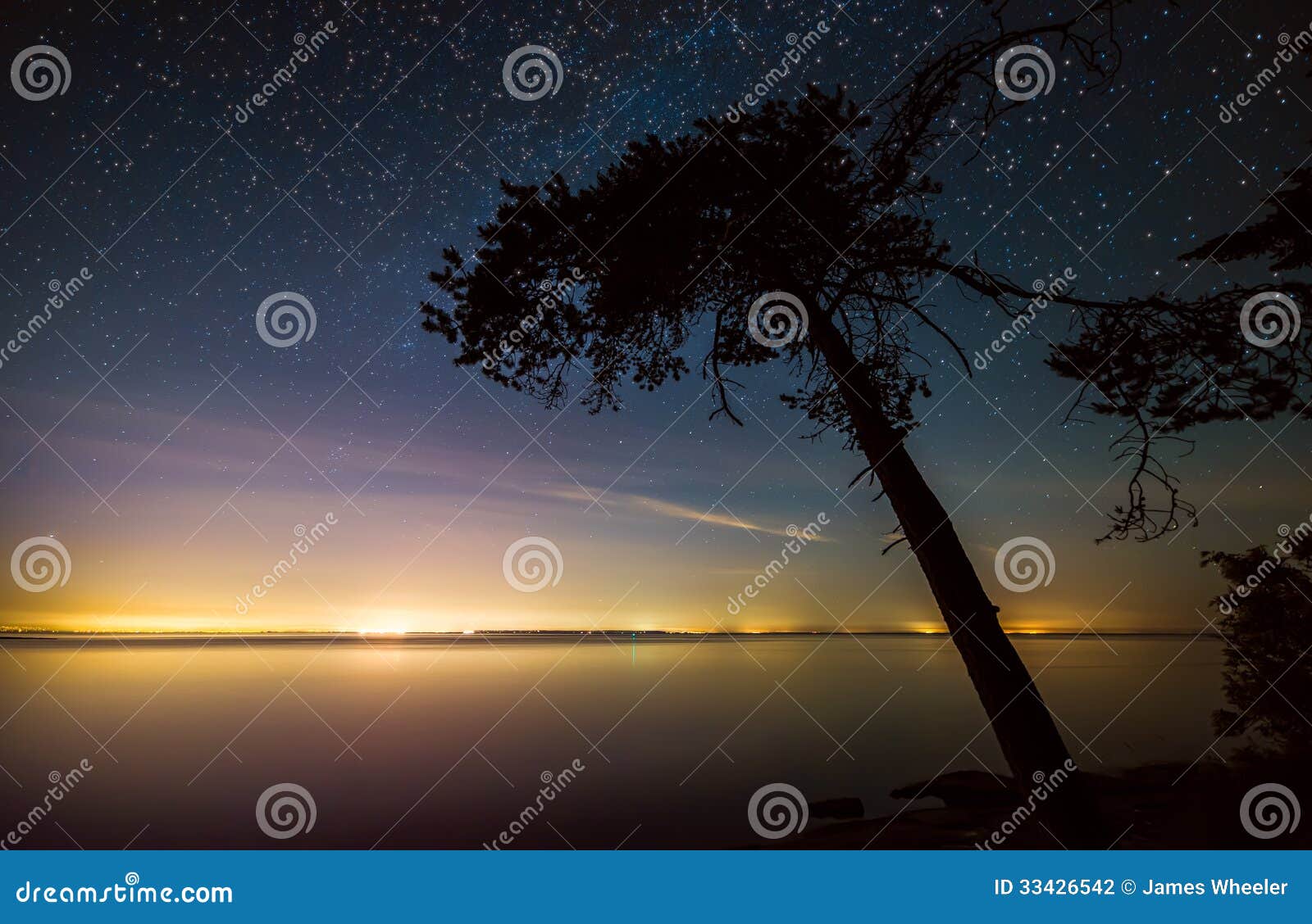 Tree with Stars on Coast with Distant Lights Stock Photo - Image of ...