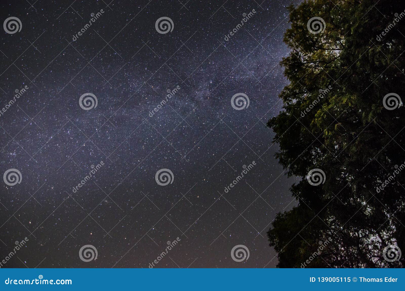 Tree and stars in the sky stock image. Image of heaven - 139005115