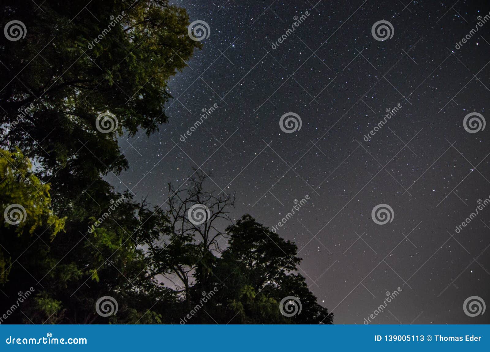 Tree and stars stock image. Image of night, pattern - 139005113