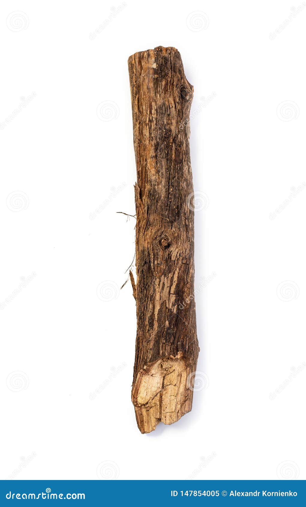 Tree stick isolated stock image. Image of texture, park - 147854005
