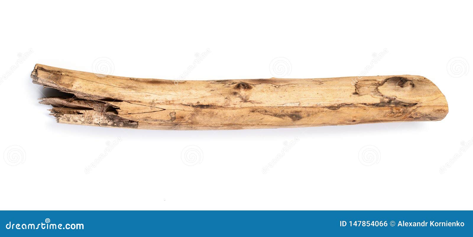 Wood Stick Royalty-Free Stock Photo | CartoonDealer.com #8066685