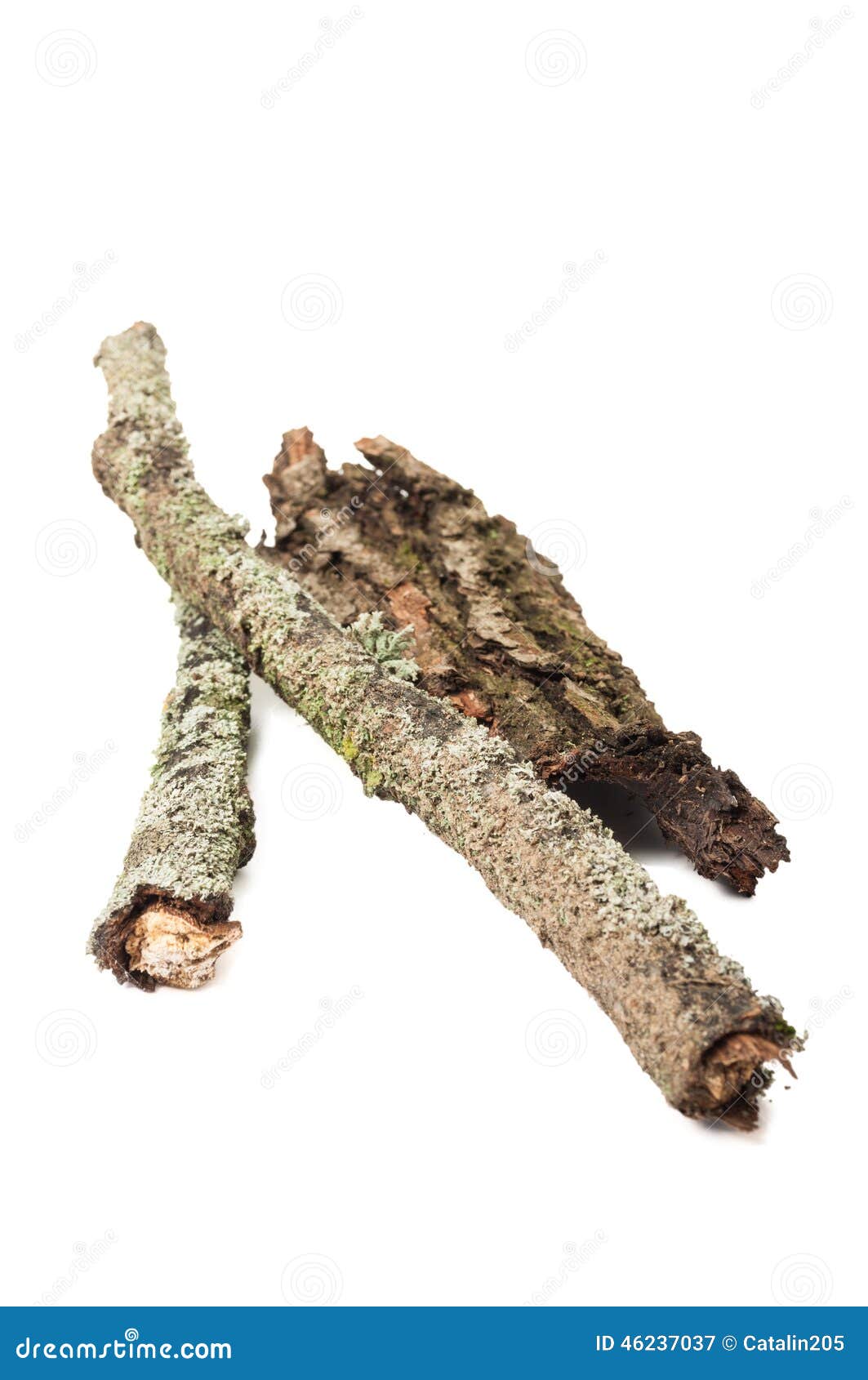 Tree Stick With Moss And Rind Or Bark Stock Image - Image of cracked ...