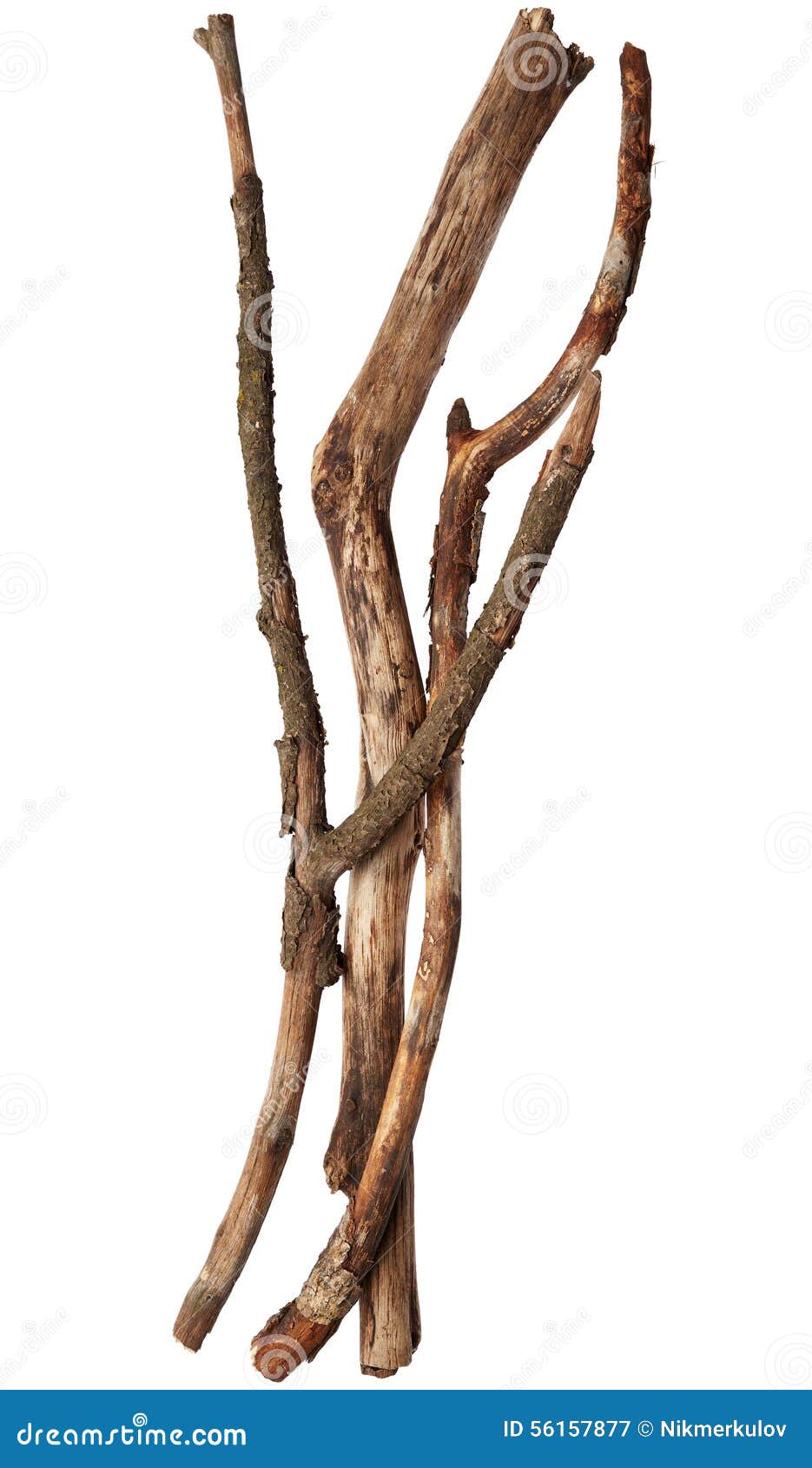 Tree sticks stock image. Image of environment, design - 56157877