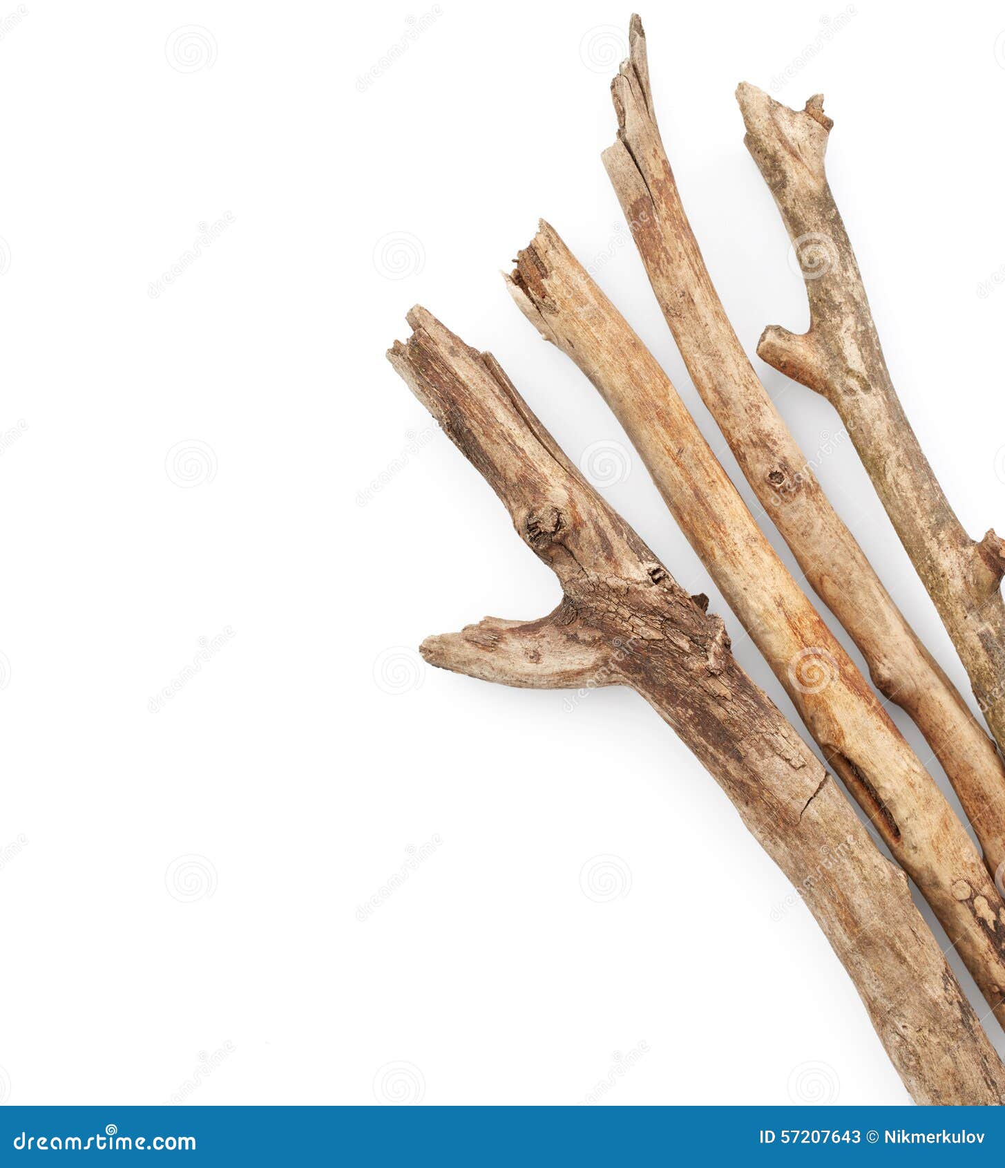 Tree sticks stock image. Image of wood, plant, tree, white - 57207643