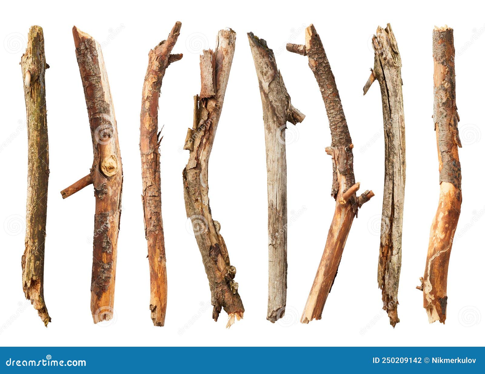 Tree Sticks Isolated on White Background Stock Photo - Image of texture ...