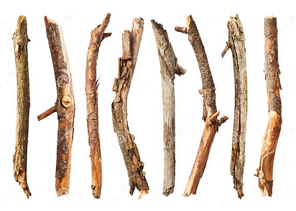 Tree Sticks Isolated on White Background Stock Photo - Image of texture ...