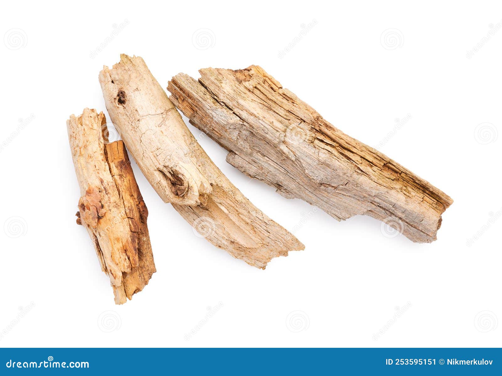 Tree Sticks Isolated on White Stock Image - Image of brown, texture ...