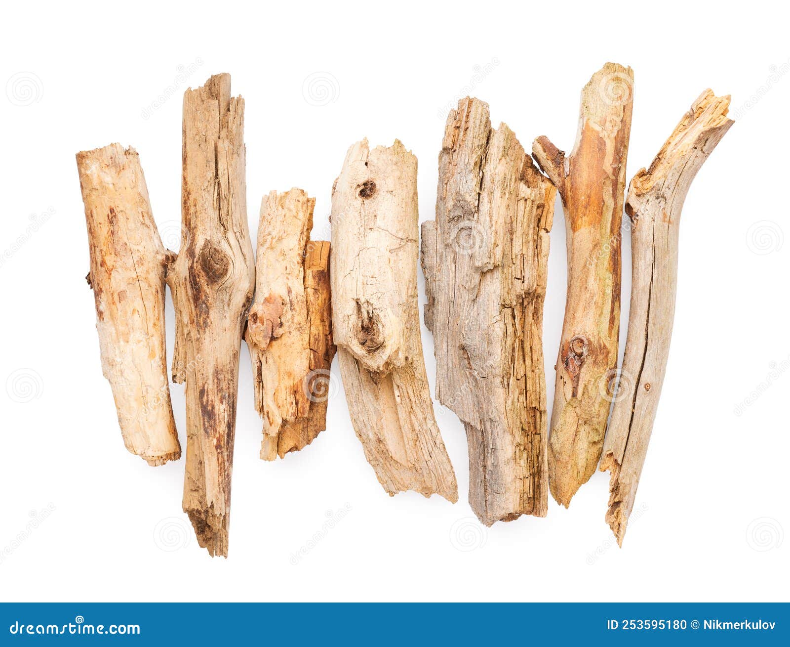 Tree Sticks Isolated on White Stock Photo - Image of birch, natural ...