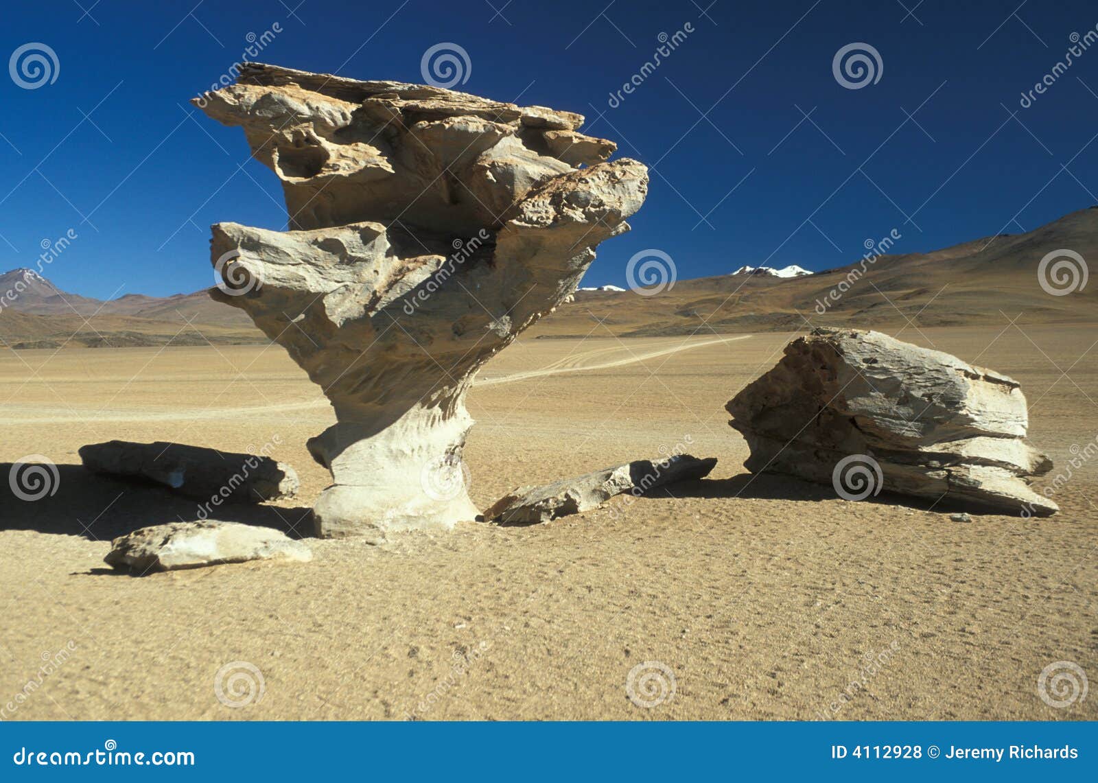 Tree of Stone stock photo. Image of bolivia, bolivian - 4112928