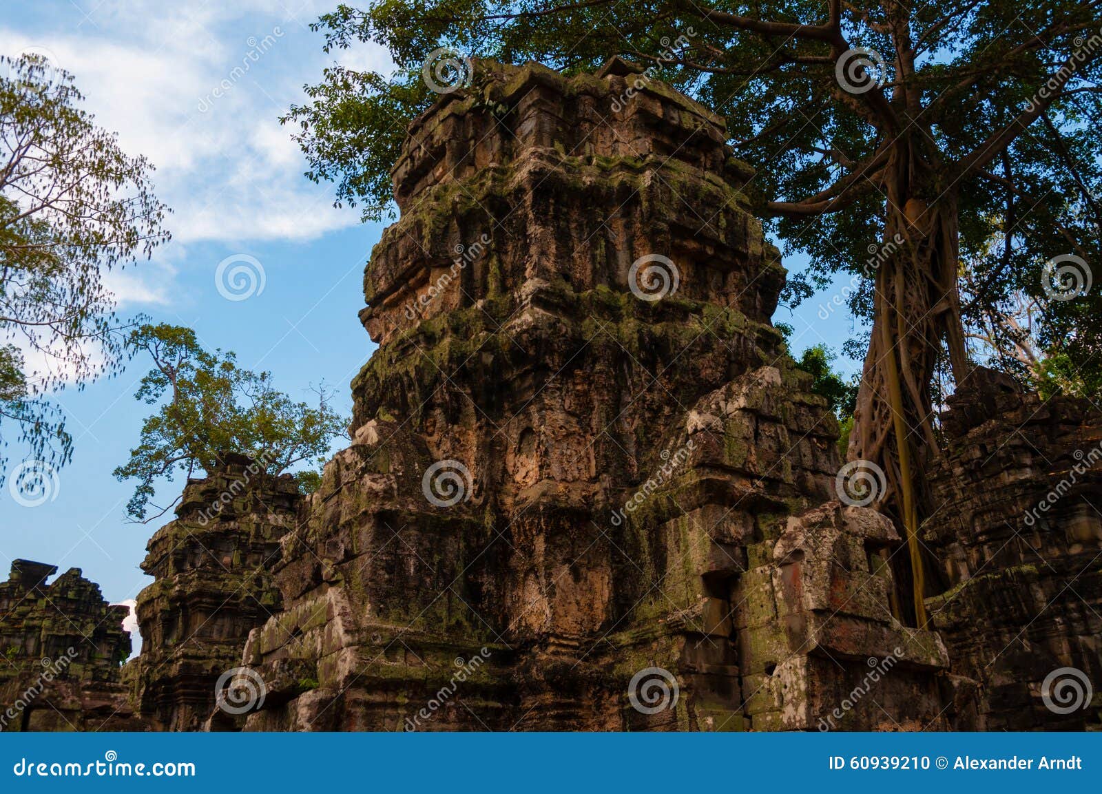 Tree on Stone Temple Ta Prohm Stock Photo - Image of heritage, root ...