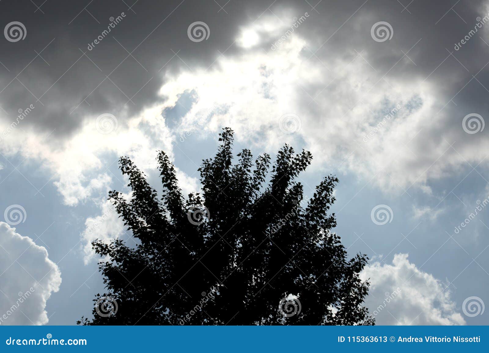 A Tree with a Stormy Sky on the Background Stock Image - Image of tree ...