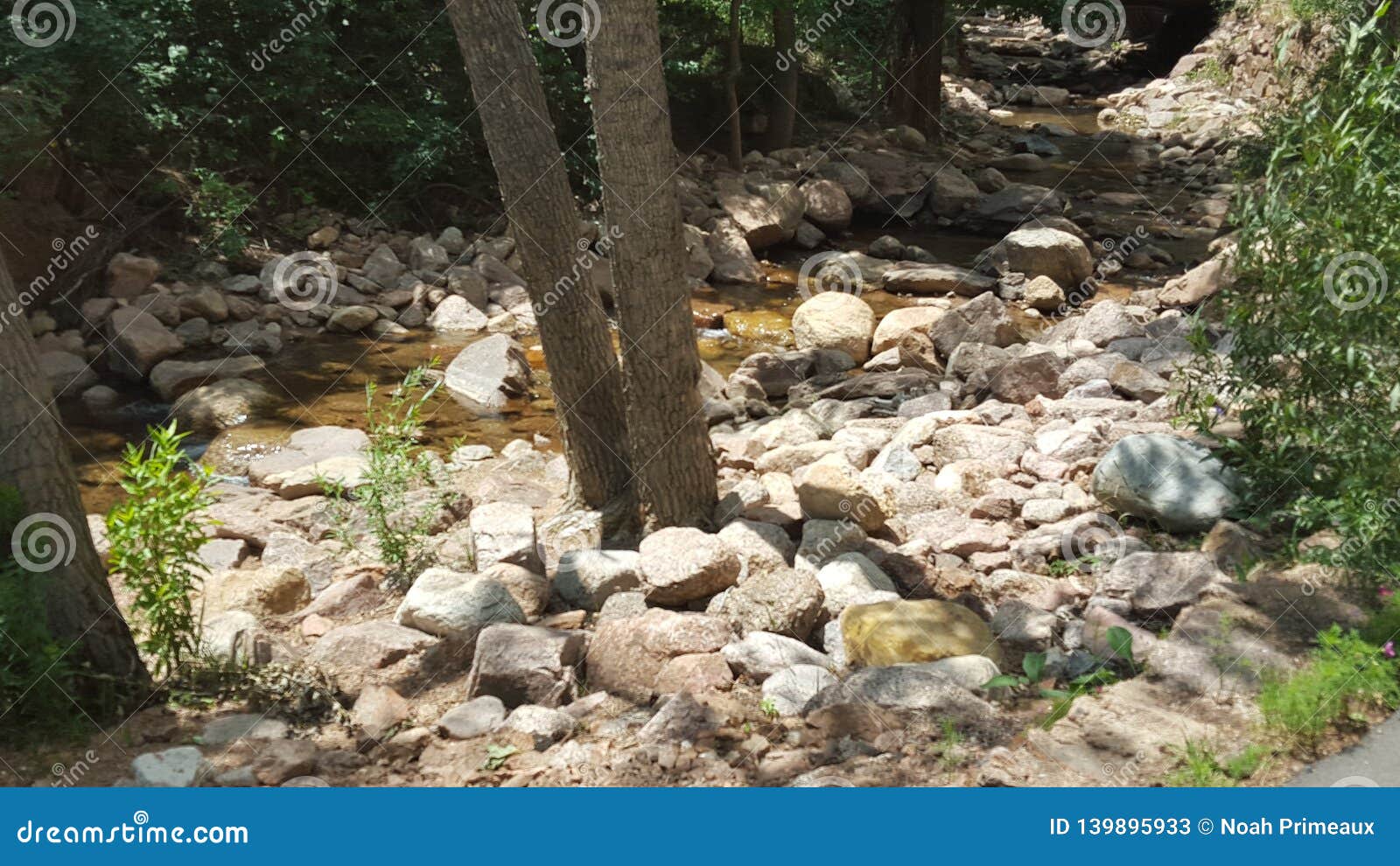 Tree Stream stock image. Image of tree, next, small - 139895933