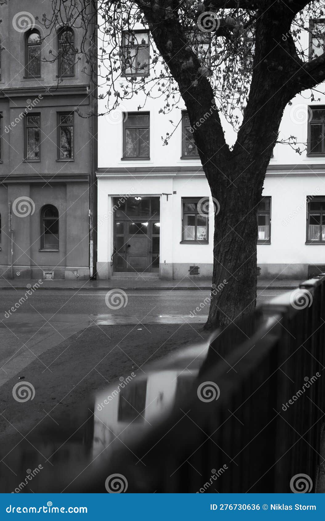 A Tree on the Street in Front of a Building Stock Photo - Image of ...
