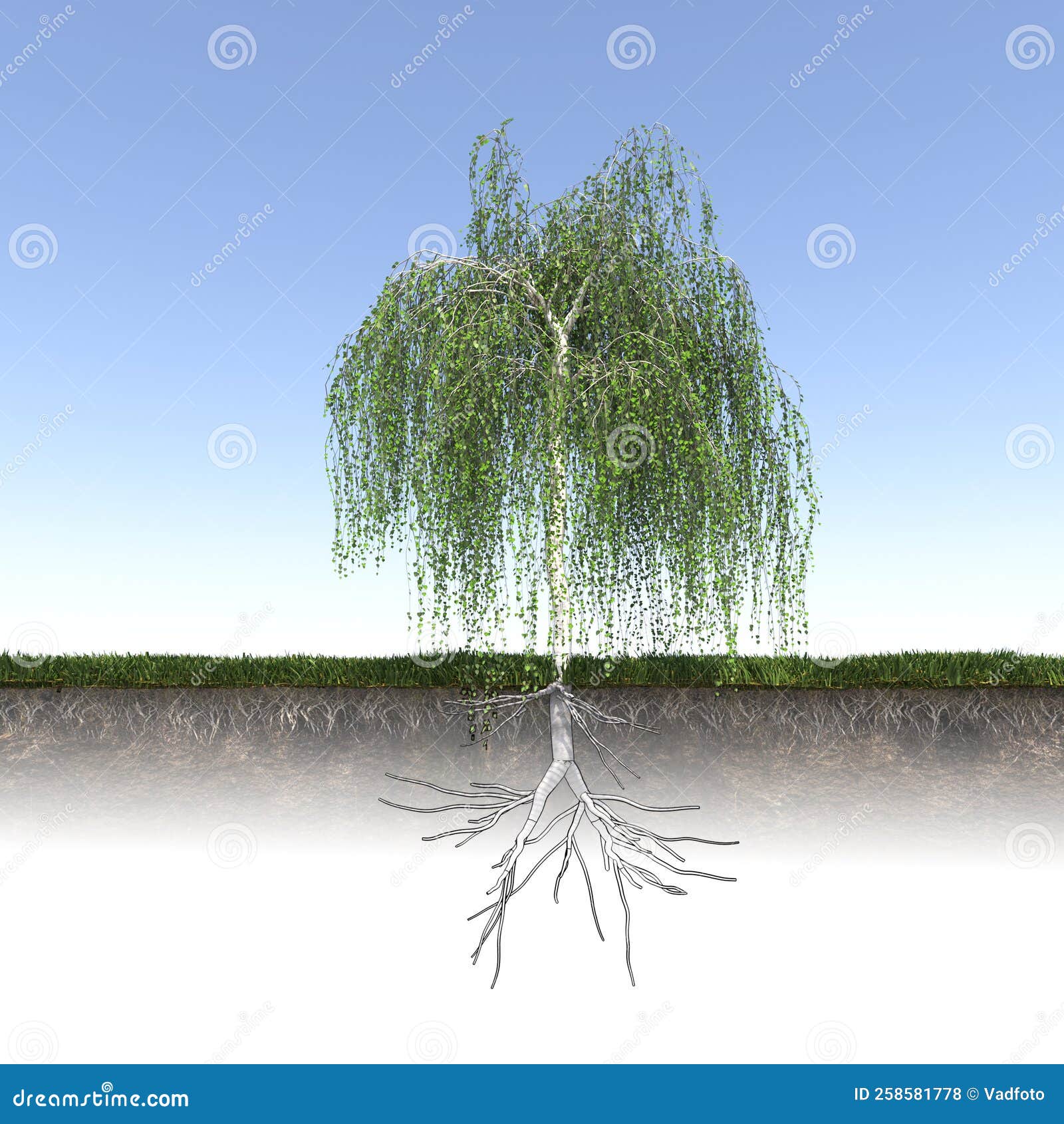 Tree with Strong and Deep Roots, 3d Render Stock Illustration ...