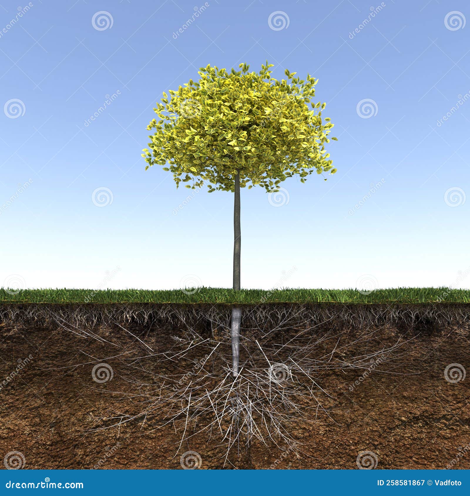 Tree with Strong and Deep Roots, 3d Render Stock Illustration ...