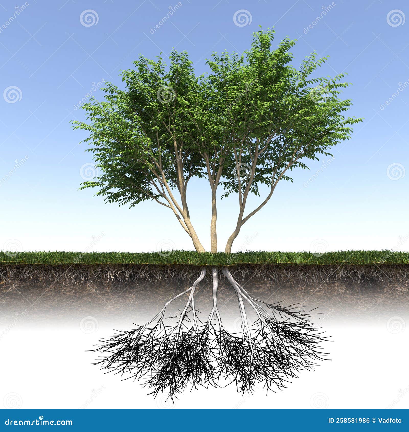 Tree with Strong and Deep Roots, 3d Render Stock Illustration ...