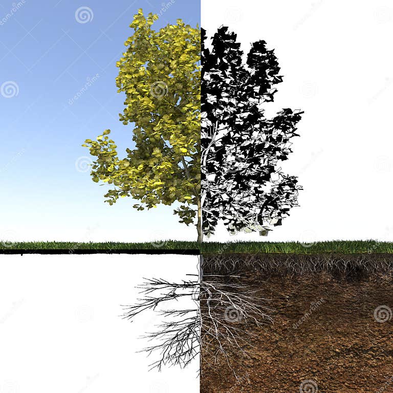 Tree with Strong and Deep Roots, 3d Render Stock Illustration ...
