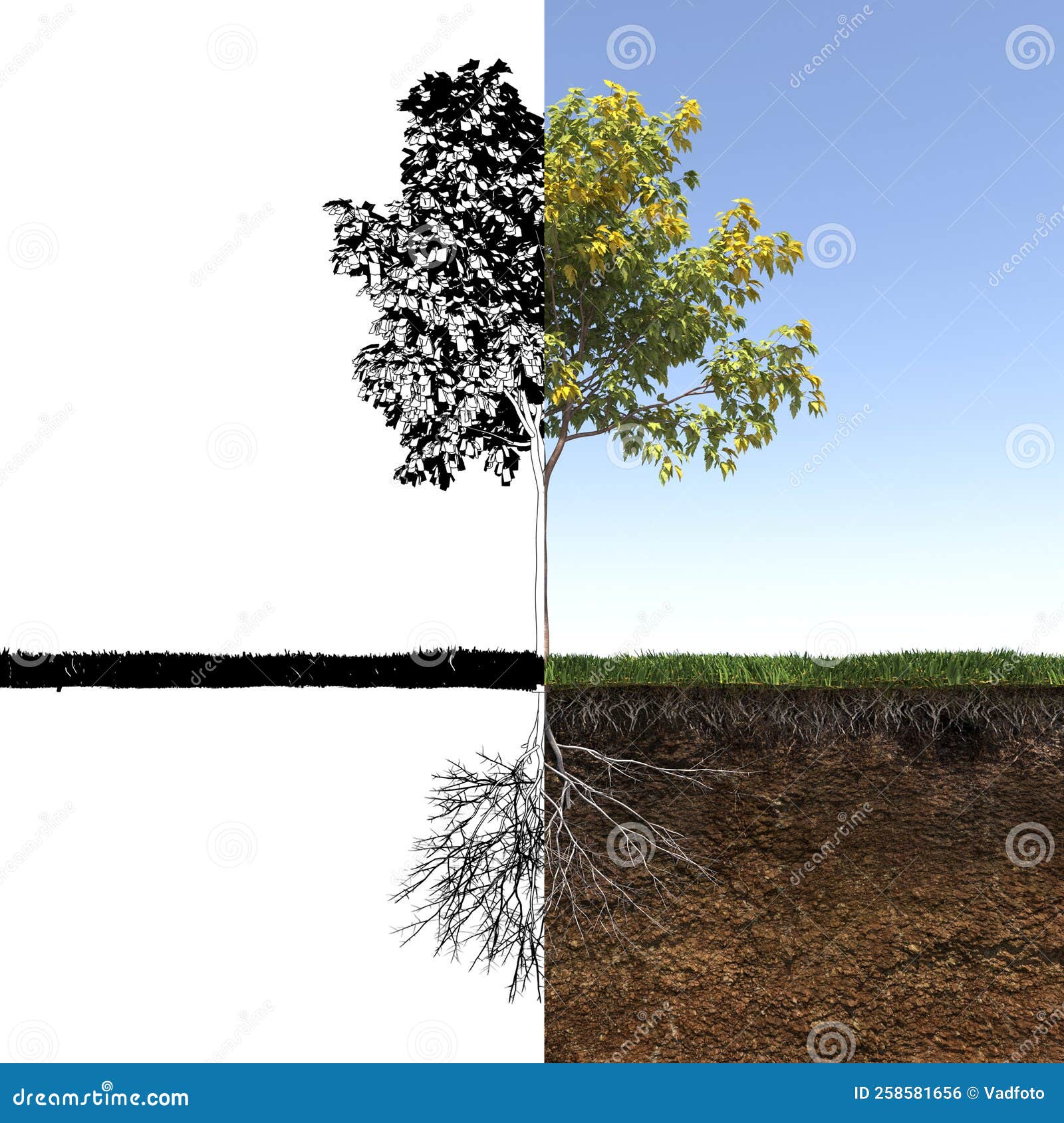 Tree with Strong and Deep Roots, 3d Render Stock Illustration ...