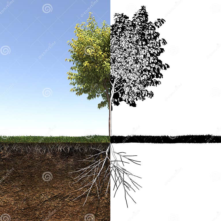 Tree with Strong and Deep Roots, 3d Render Stock Illustration ...