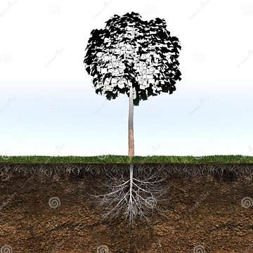 Tree with Strong and Deep Roots, 3d Render Stock Illustration ...