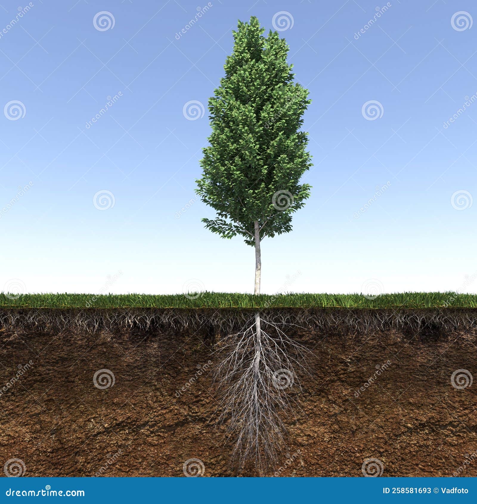 Tree with Strong and Deep Roots, 3d Render Stock Illustration ...
