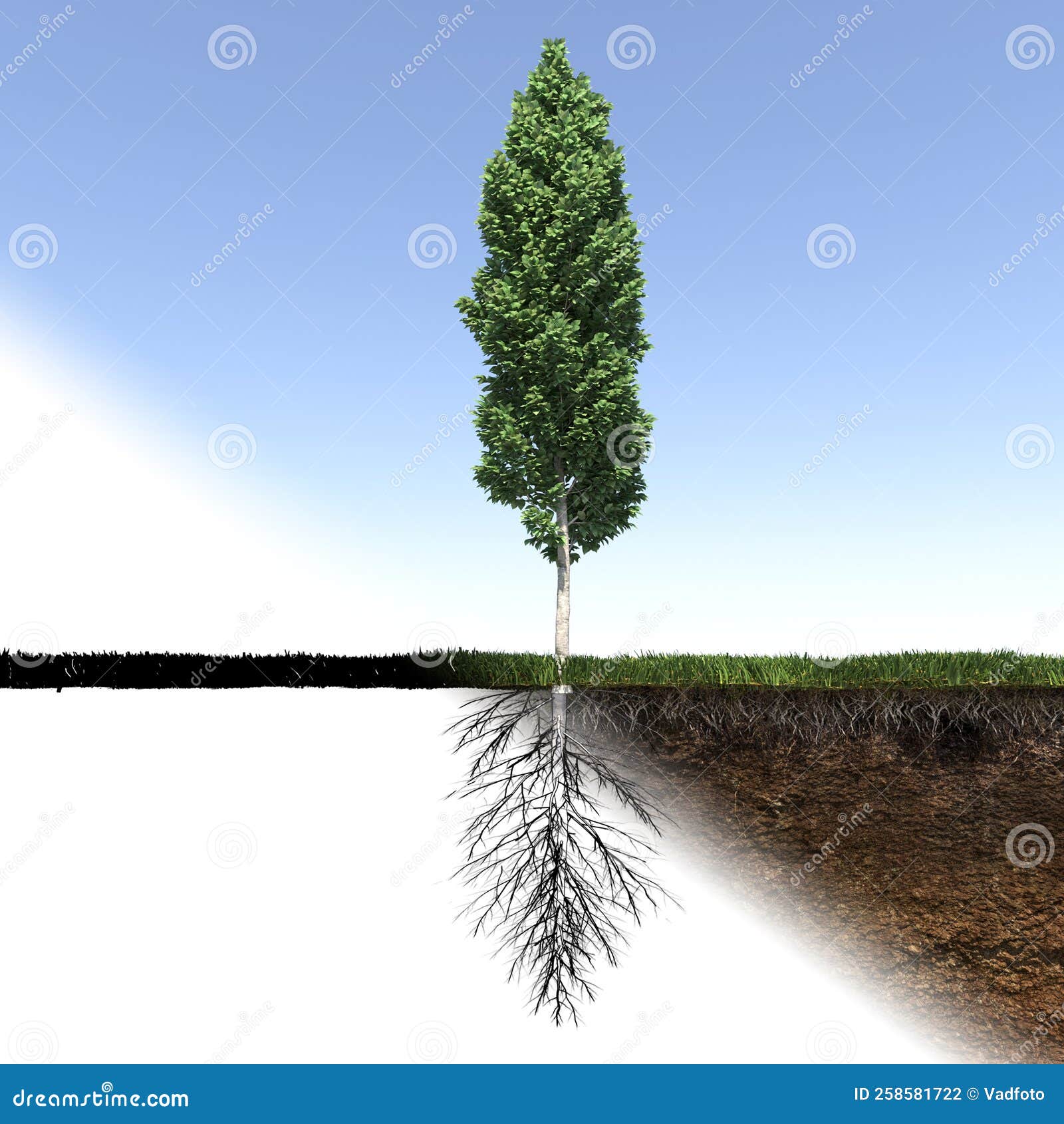 Tree with Strong and Deep Roots, 3d Render Stock Illustration ...
