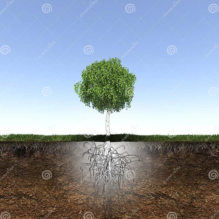 Tree with Strong and Deep Roots, 3d Render Stock Illustration ...