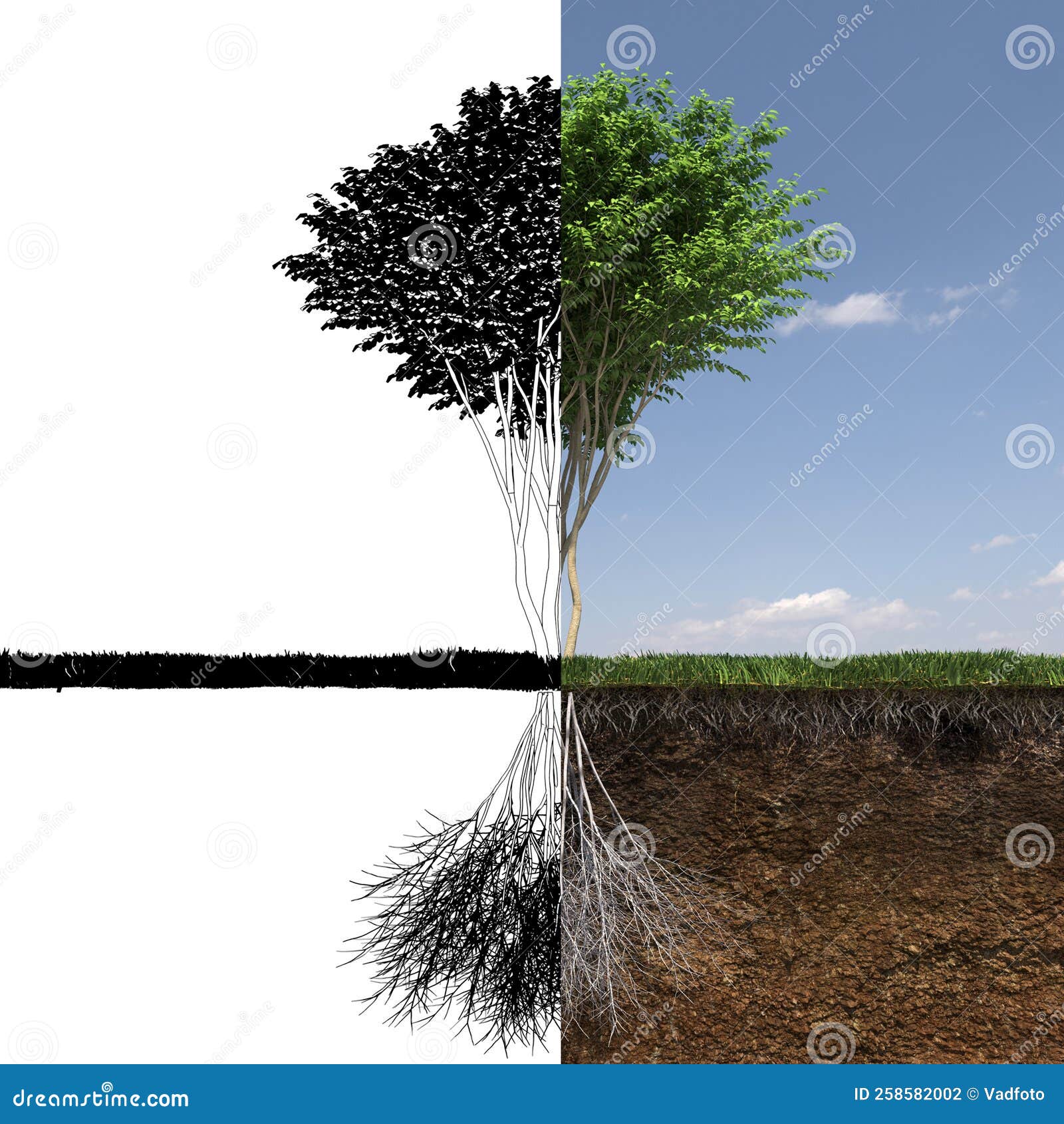 Tree with Strong and Deep Roots, 3d Render Stock Illustration ...
