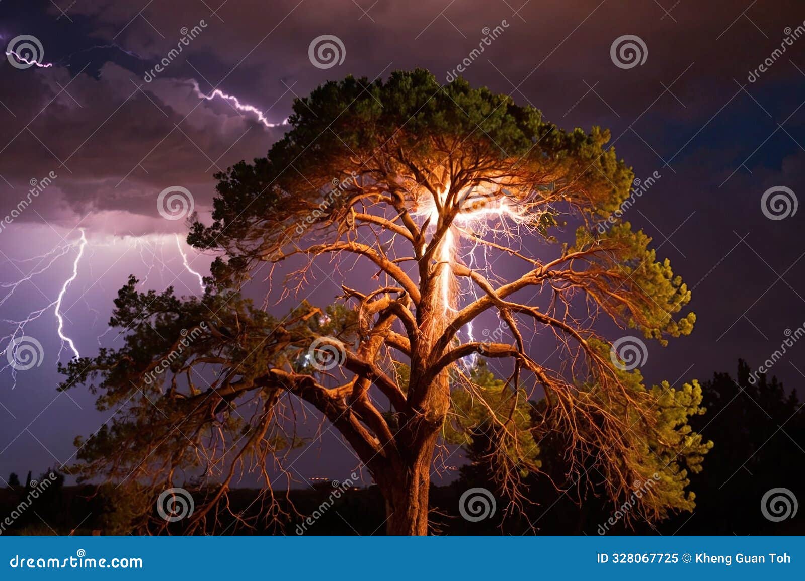Tree Struck by Lightning in Violent Thunder Storm Stock Illustration ...