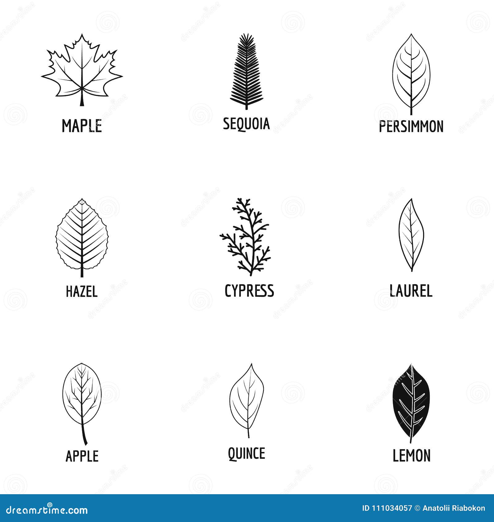 Tree Structure Icons Set, Simple Style Stock Vector - Illustration of ...