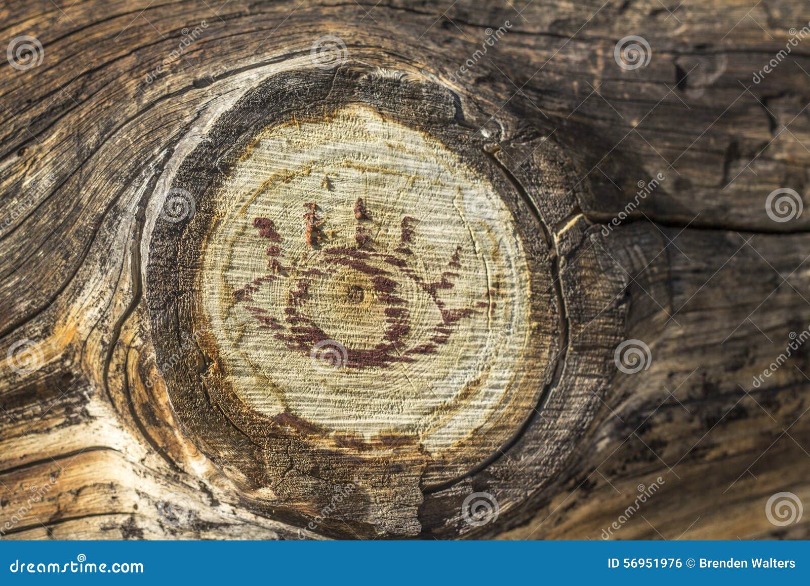 Tree Stump Art stock photo. Image of painted, wood, tree - 56951976