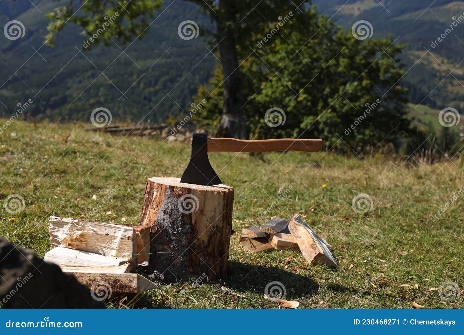 Tree Stump with Axe and Cut Firewood on Hill Stock Image - Image of ...