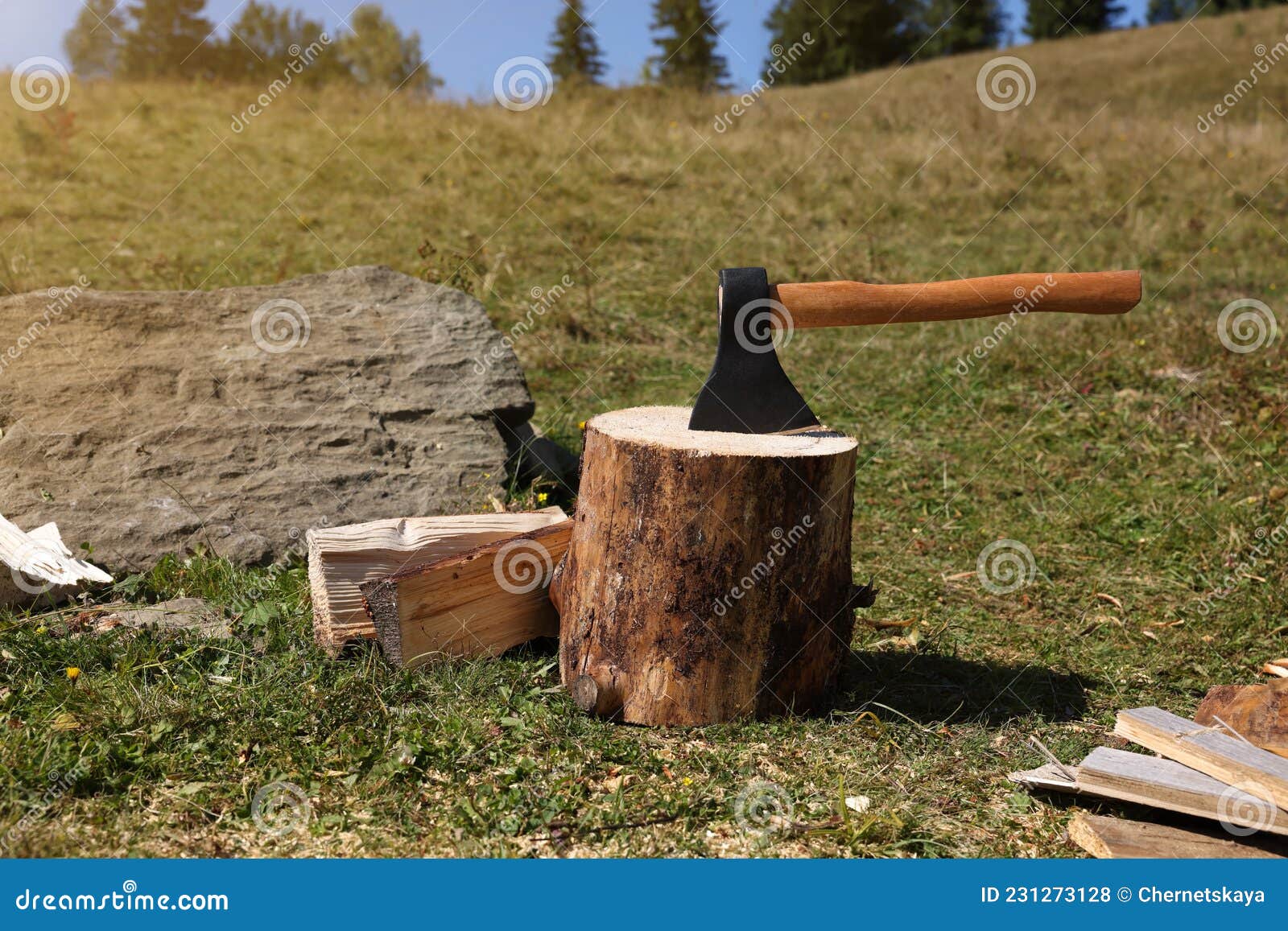 Tree Stump with Axe and Cut Firewood on Hill Stock Photo - Image of ...
