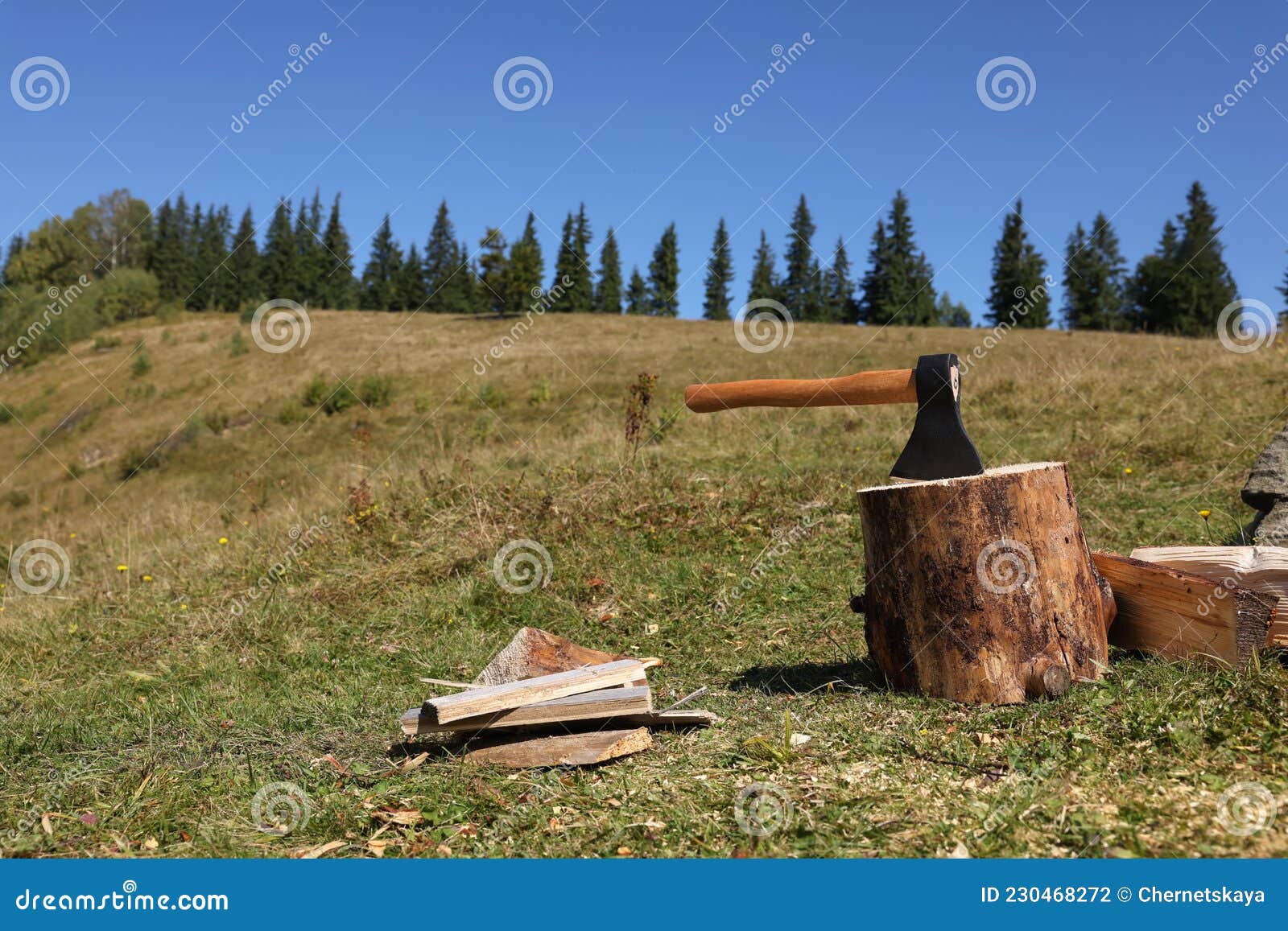 Tree Stump with Axe and Cut Firewood on Hill, Space for Text Stock ...